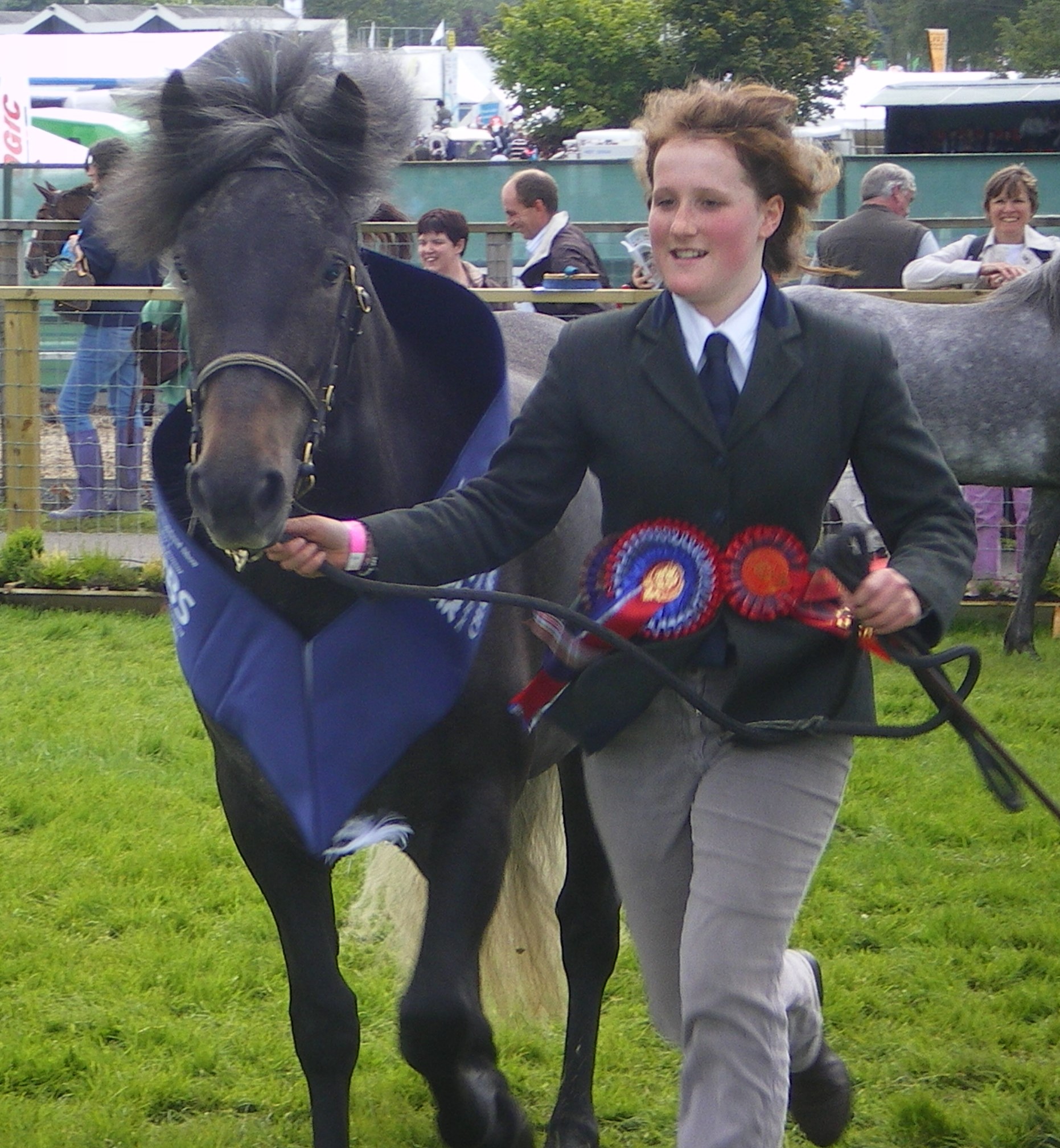 Showing your Pony – THE ERISKAY PONY SOCIETY