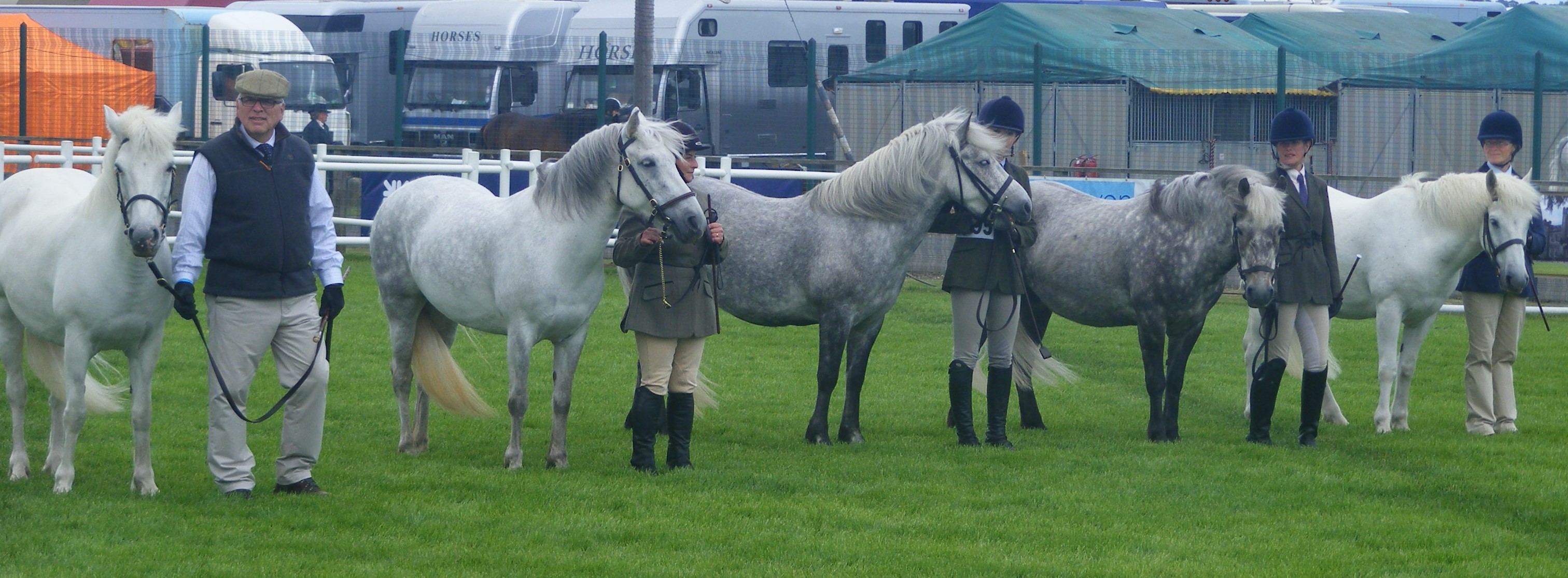 About the Eriskay Pony Society – THE ERISKAY PONY SOCIETY