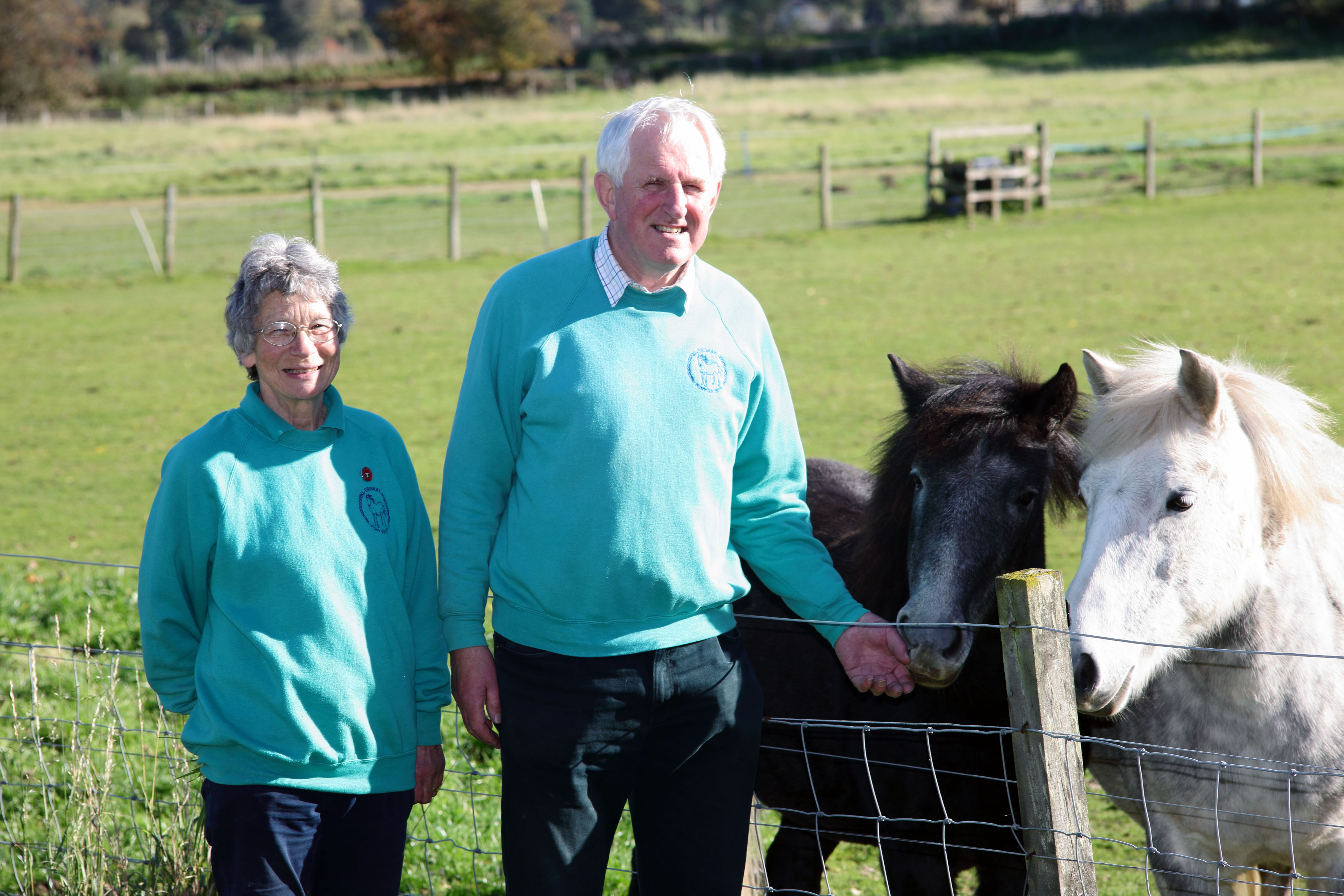 Meet the Eriskay – THE ERISKAY PONY SOCIETY