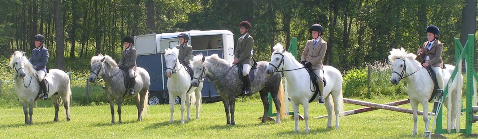 Showing your Pony – THE ERISKAY PONY SOCIETY