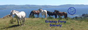 THE ERISKAY PONY SOCIETY – Protecting and Promoting Scotland's Ancient ...