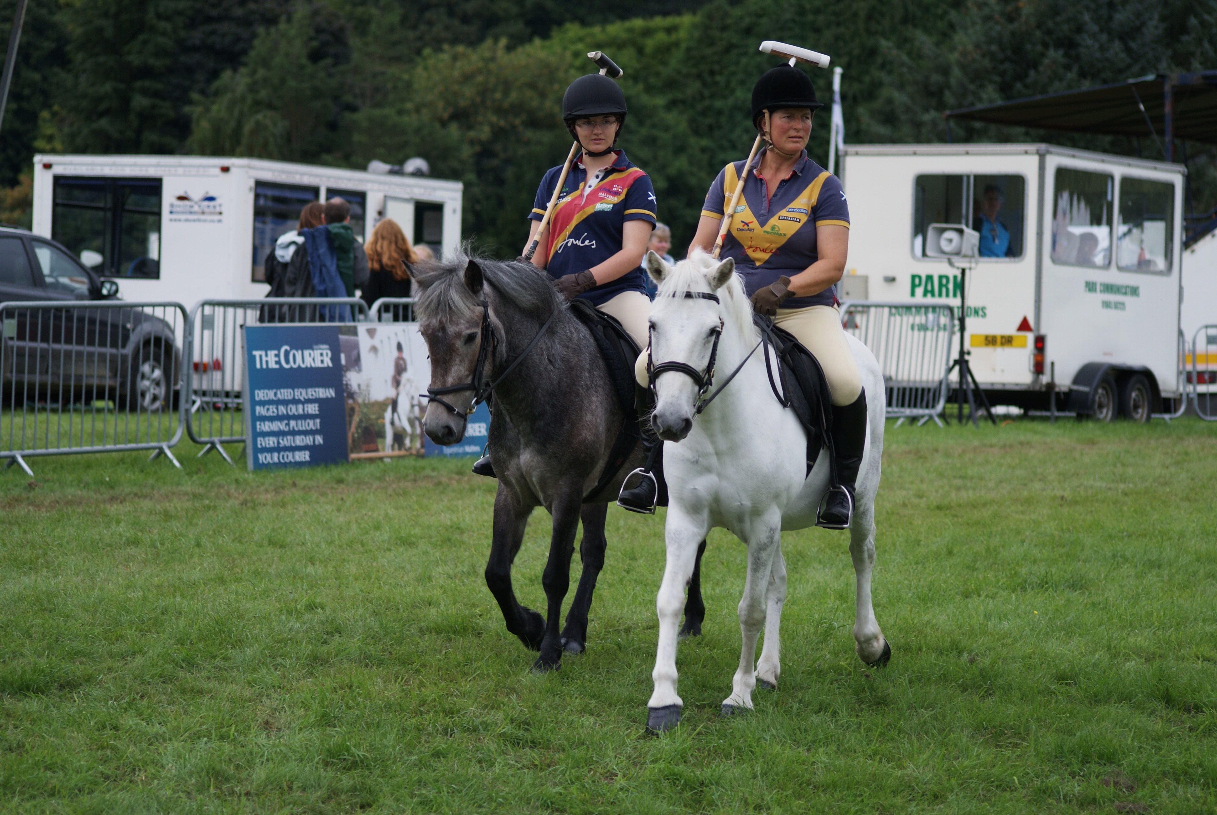 THE ERISKAY PONY SOCIETY – Protecting and Promoting Scotland's Ancient ...