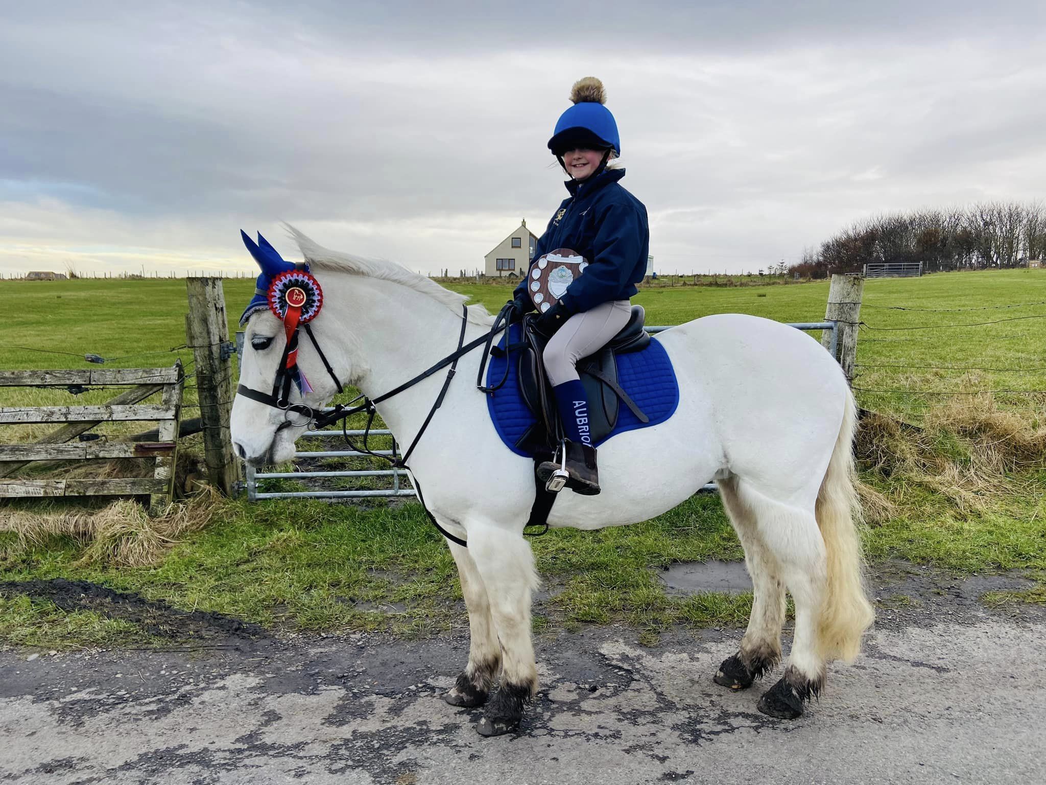 Performance Awards – THE ERISKAY PONY SOCIETY